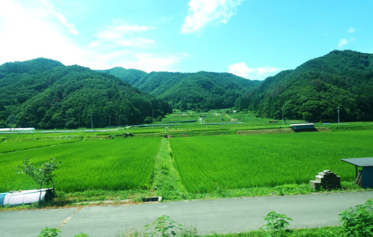 「リゾートビューふるさと」乗車記（長野 ⇒ 松本） 長野県の車窓を楽しめる観光列車