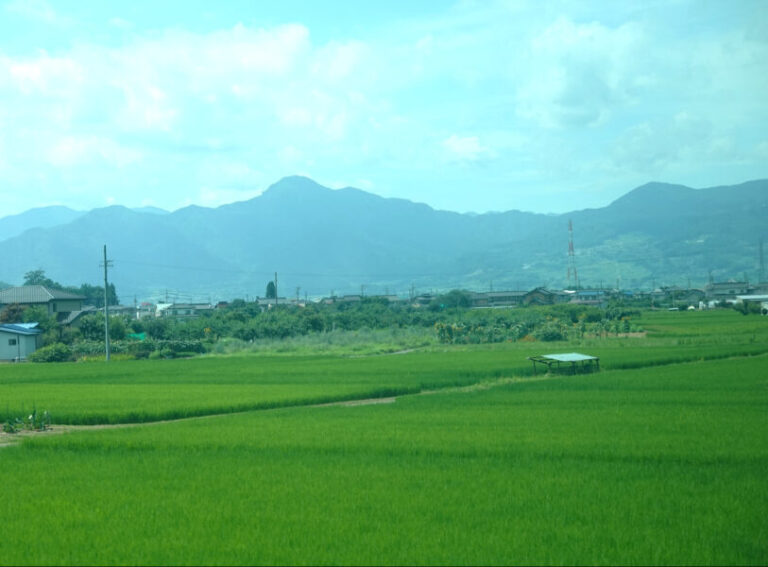 「リゾートビューふるさと」乗車記（長野 ⇒ 松本） 長野県の車窓を楽しめる観光列車