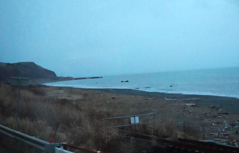 【JR北海道バス乗車記】日高本線転換バス「特急とまも号」